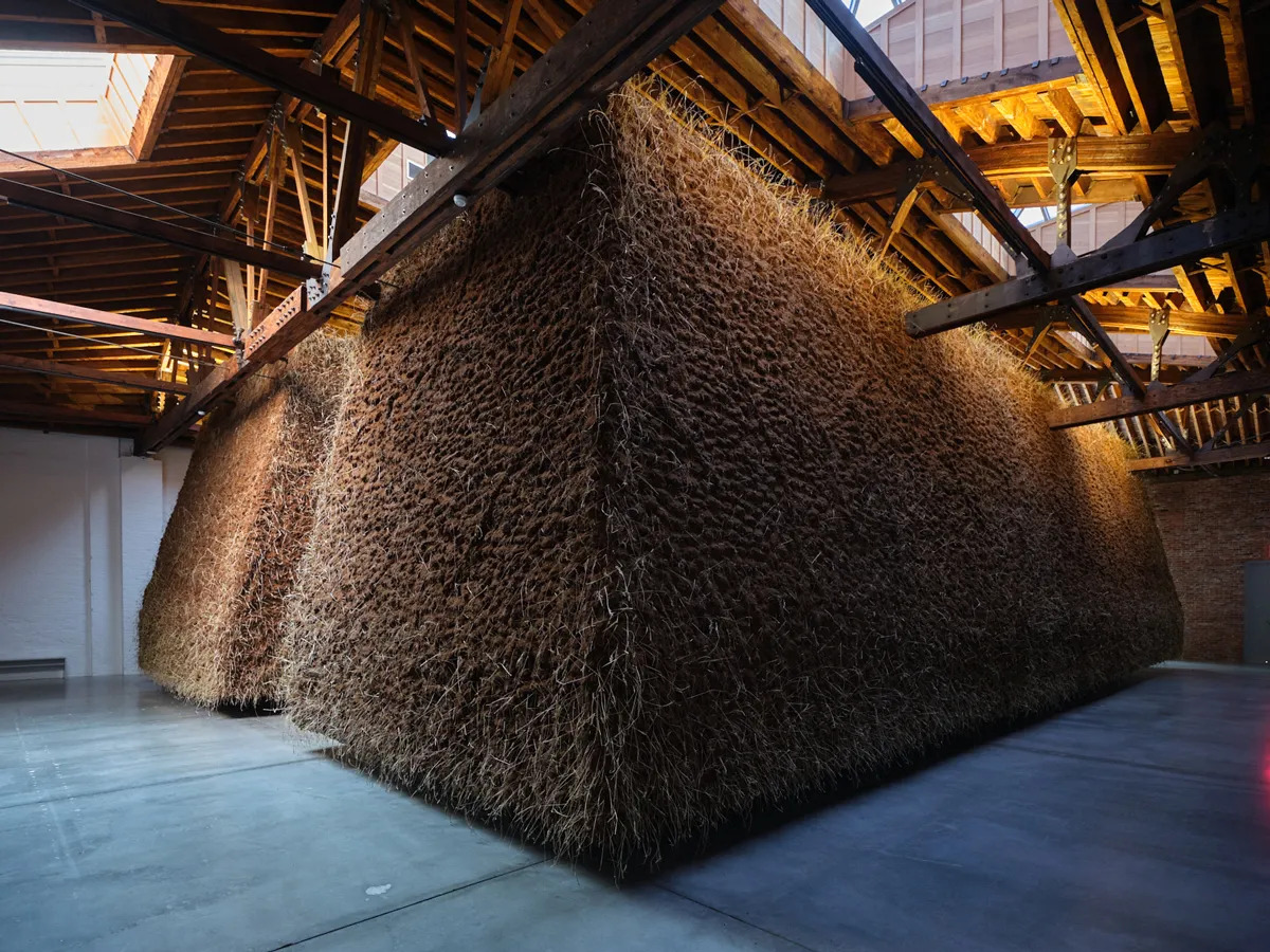 Artist Delcy Morelos Wants You to Listen to What the Earth Has to Say ...